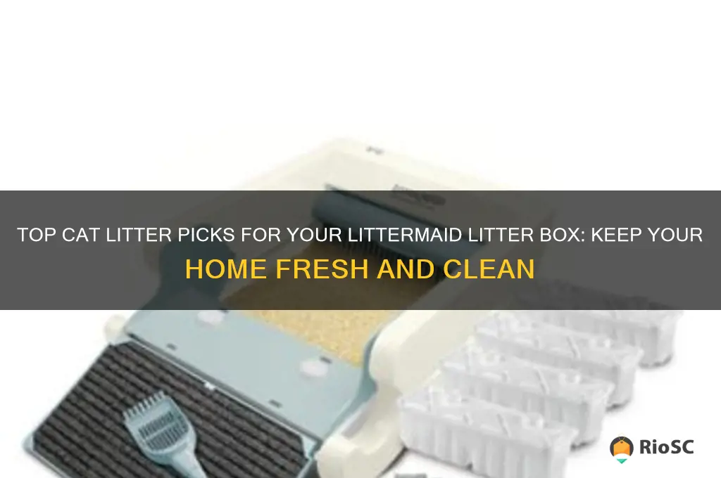 Top Cat Litter Picks For Your Littermaid Litter Box: Keep Your Home ...