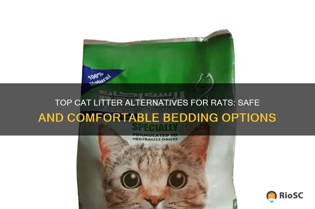 Top Cat Litter Alternatives For Rats: Safe And Comfortable Bedding ...