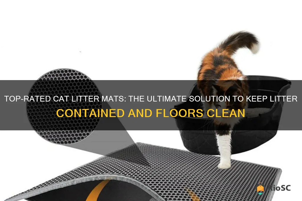Top-Rated Cat Litter Mats: The Ultimate Solution To Keep Litter ...