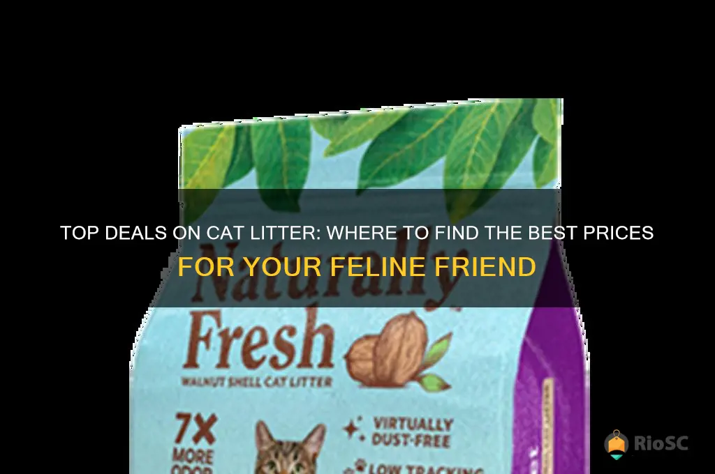 Top Deals On Cat Litter: Where To Find The Best Prices For Your Feline ...