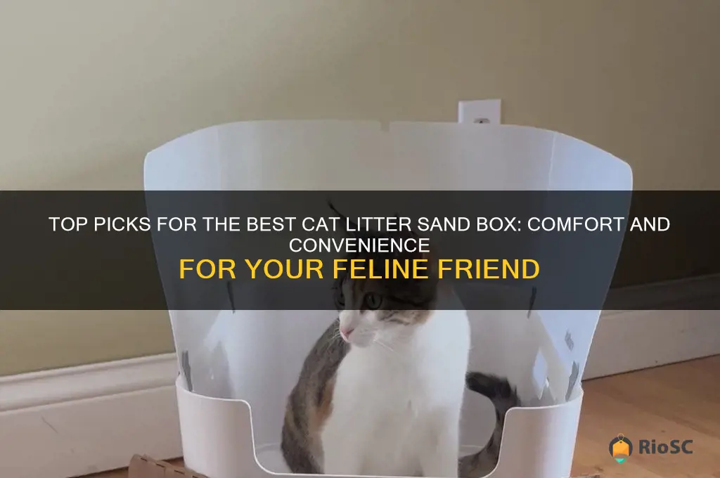 Top Picks For The Best Cat Litter Sand Box: Comfort And Convenience For ...