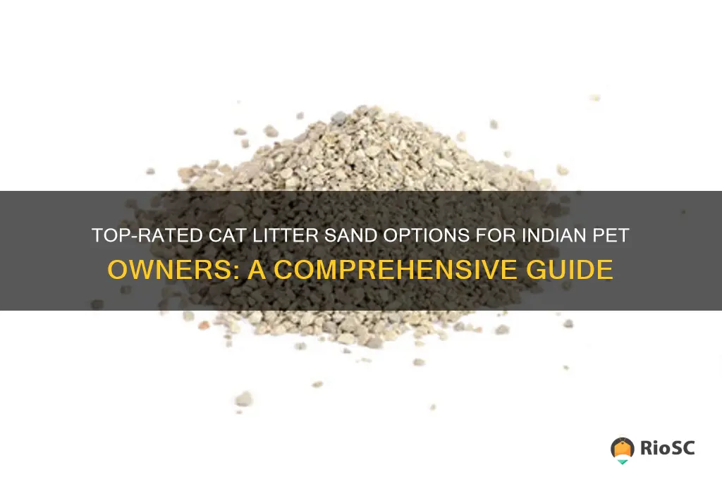 Top-Rated Cat Litter Sand Options For Indian Pet Owners: A ...