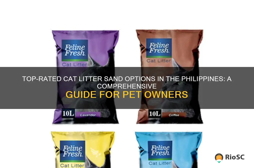 Top-Rated Cat Litter Sand Options In The Philippines: A Comprehensive ...