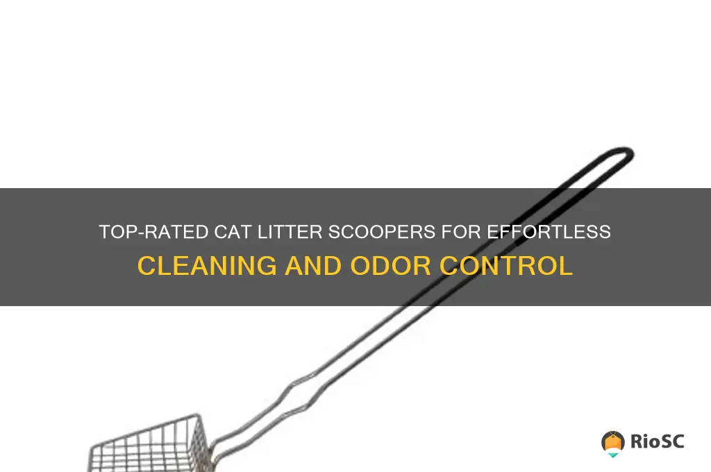 Top-Rated Cat Litter Scoopers For Effortless Cleaning And Odor Control ...