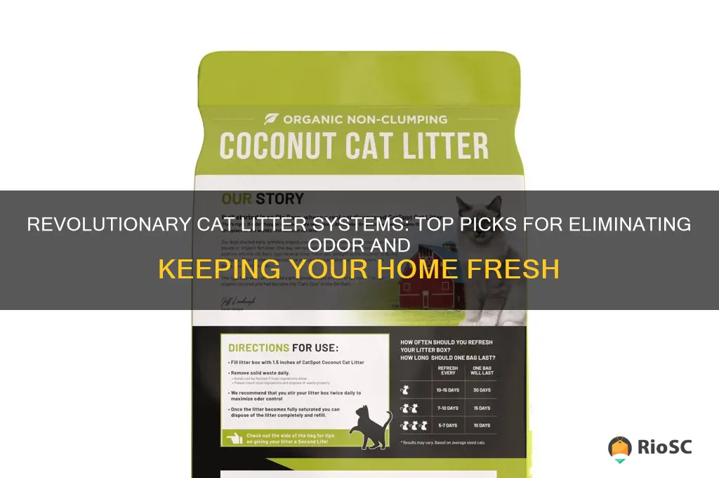 Revolutionary Cat Litter Systems: Top Picks For Eliminating Odor And ...