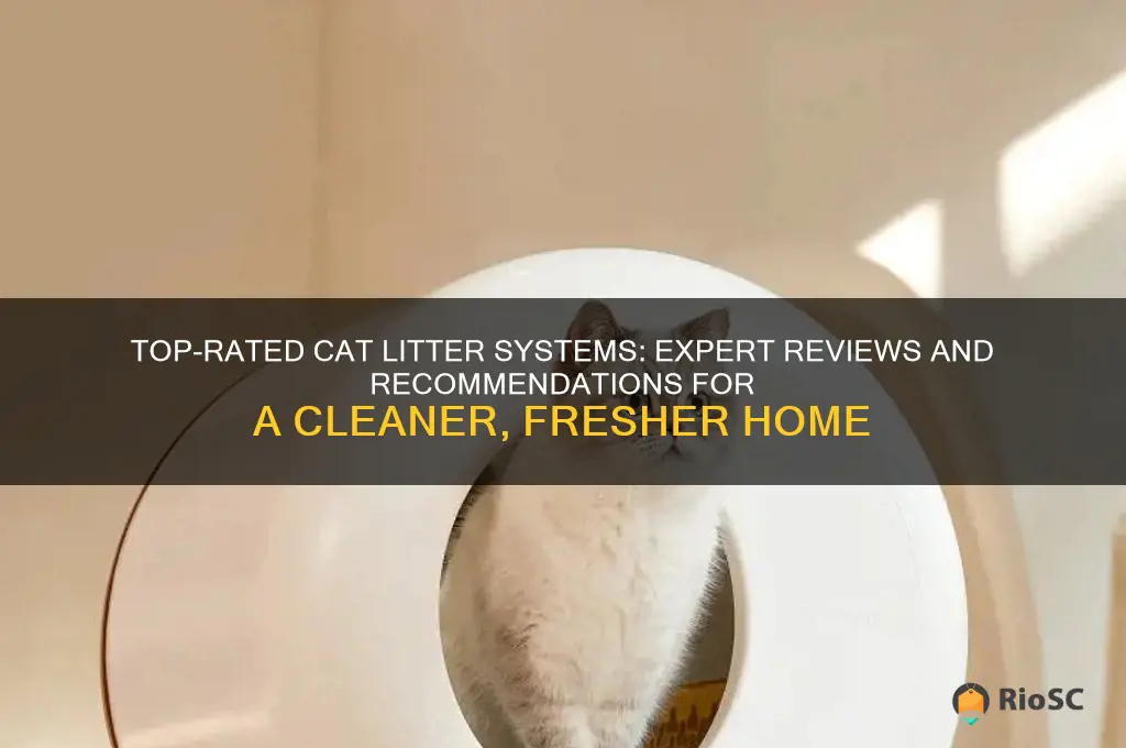 Top-Rated Cat Litter Systems: Expert Reviews And Recommendations For A ...