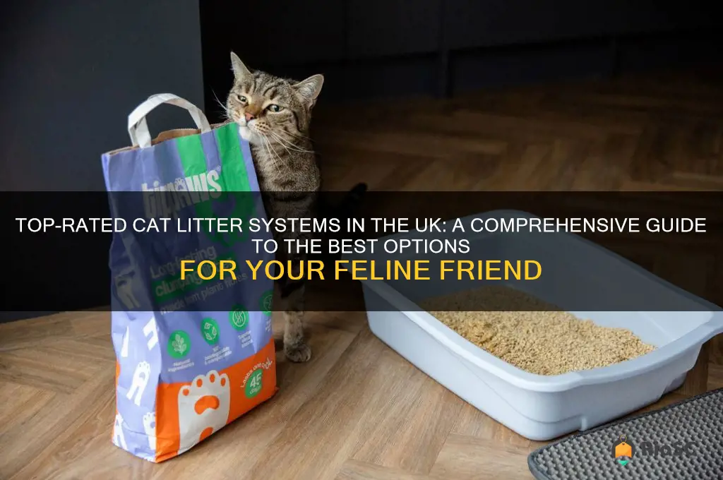 Top-Rated Cat Litter Systems In The Uk: A Comprehensive Guide To The ...