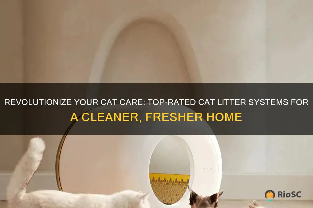 Revolutionize Your Cat Care: Top-Rated Cat Litter Systems For A Cleaner ...