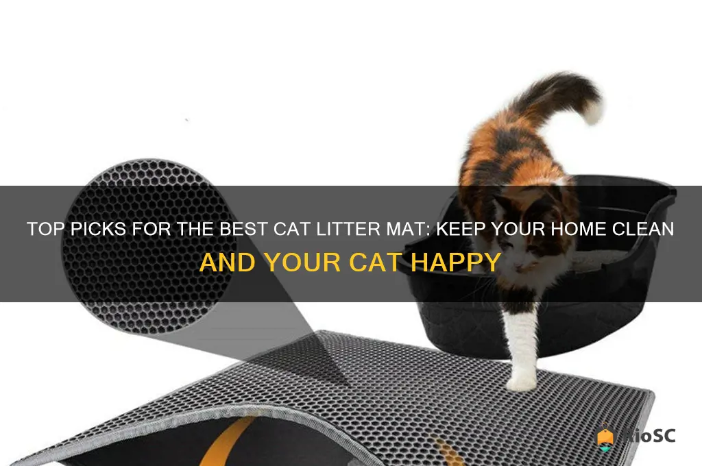 Top Picks For The Best Cat Litter Mat: Keep Your Home Clean And Your ...