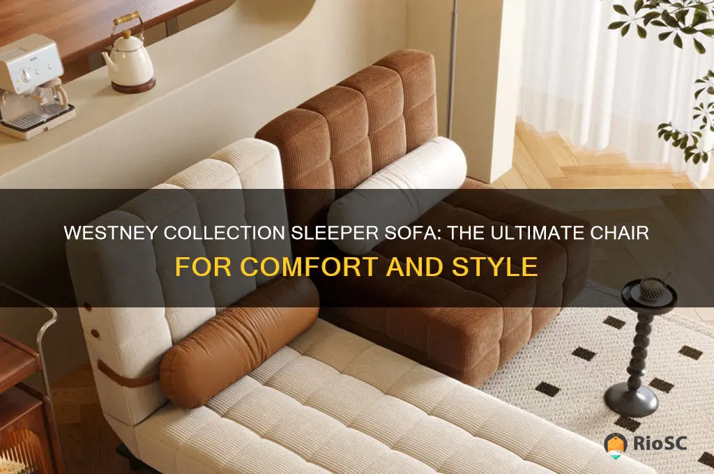 Westney Collection Sleeper Sofa: The Ultimate Chair For Comfort And ...