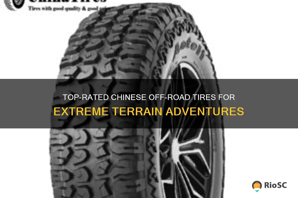 Top-Rated Chinese Off-Road Tires For Extreme Terrain Adventures | Riosc