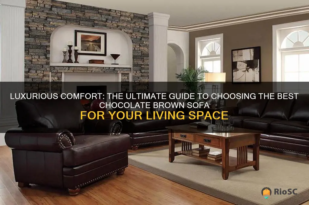 Luxurious Comfort: The Ultimate Guide To Choosing The Best Chocolate ...