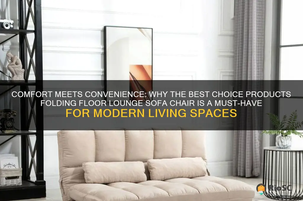 Comfort Meets Convenience: Why The Best Choice Products Folding Floor ...