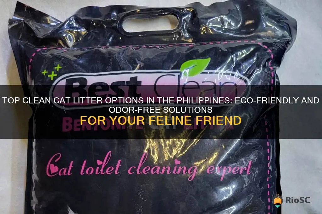 Top Clean Cat Litter Options In The Philippines: Eco-Friendly And Odor ...