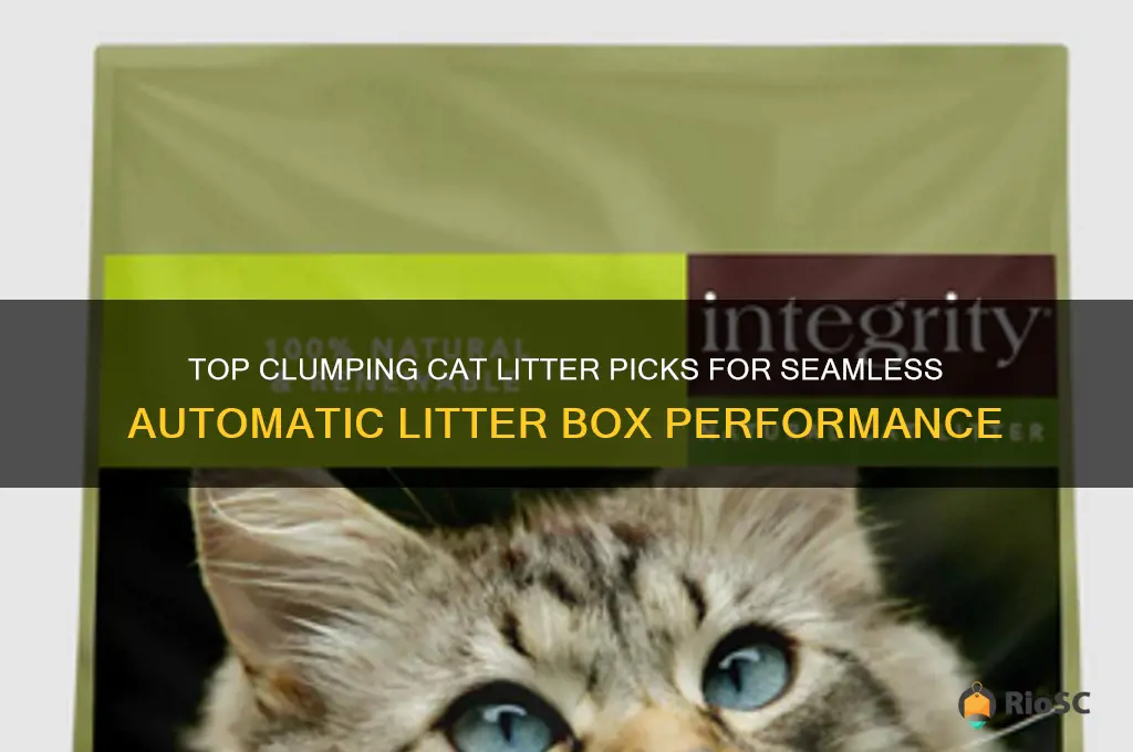 Top Clumping Cat Litter Picks For Seamless Automatic Litter Box ...
