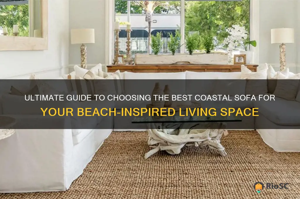Ultimate Guide To Choosing The Best Coastal Sofa For Your Beach ...