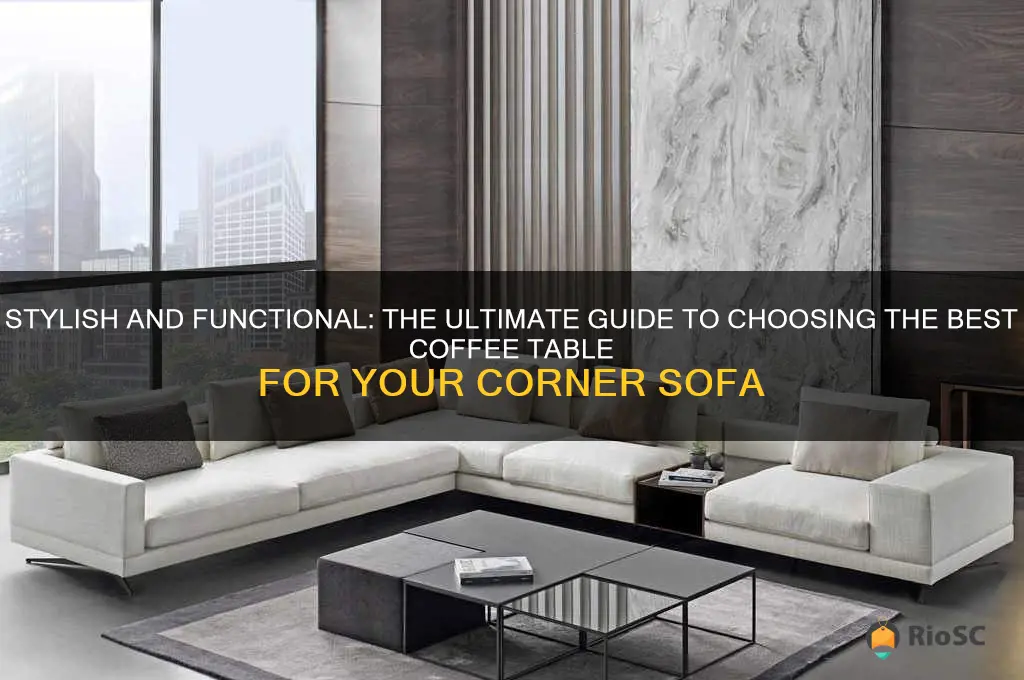 Stylish And Functional: The Ultimate Guide To Choosing The Best Coffee ...
