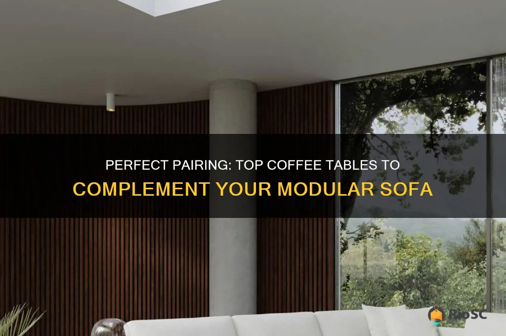 Perfect Pairing: Top Coffee Tables To Complement Your Modular Sofa | Riosc