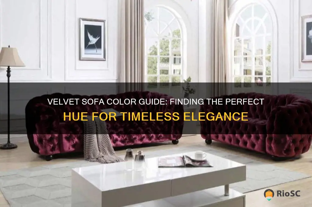 Velvet Sofa Color Guide: Finding The Perfect Hue For Timeless Elegance ...