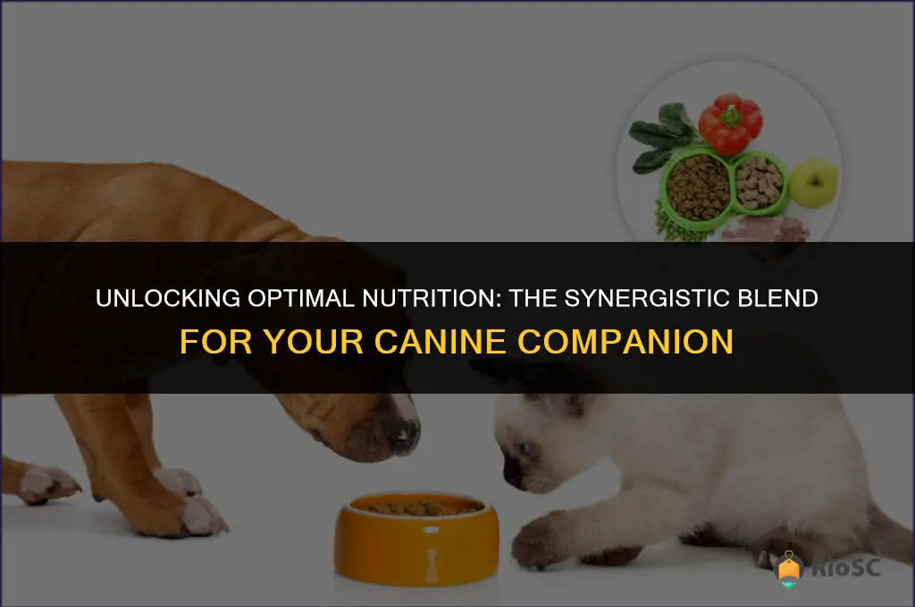 Unlocking Optimal Nutrition: The Synergistic Blend For Your Canine ...