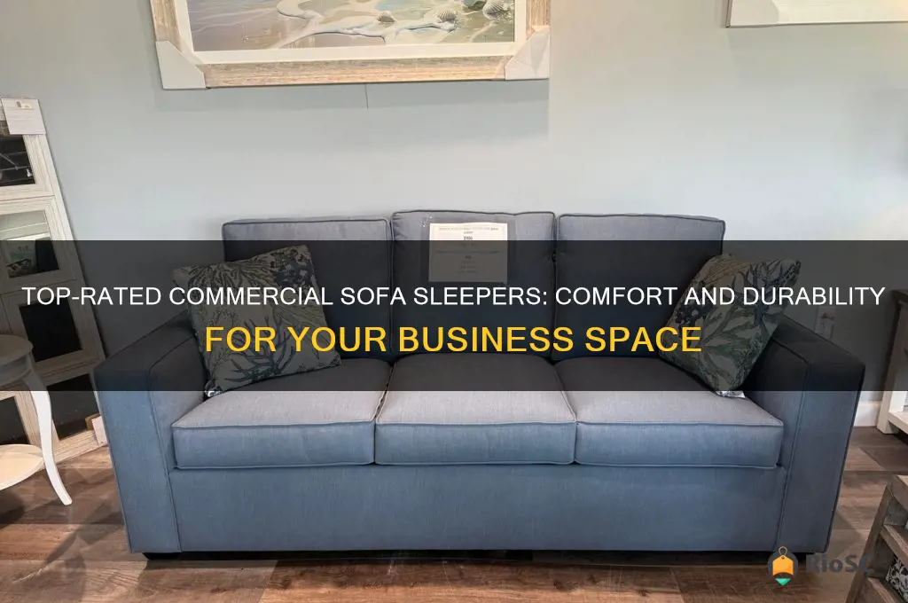 Top-Rated Commercial Sofa Sleepers: Comfort And Durability For Your ...