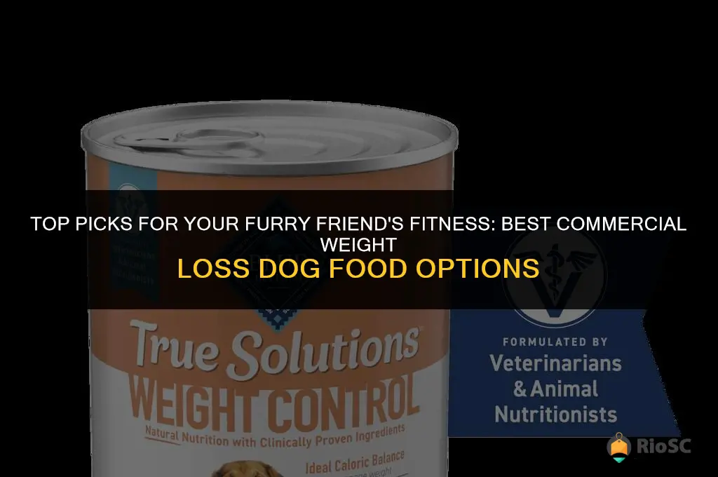 Top Picks For Your Furry Friend's Fitness: Best Commercial Weight Loss ...