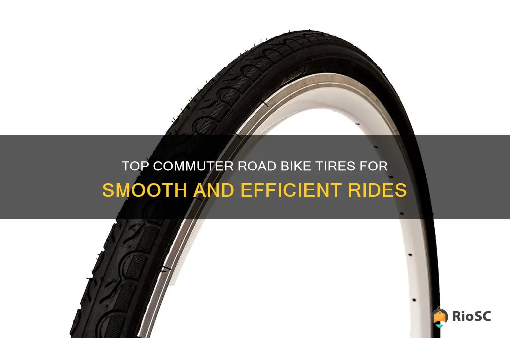 Top Commuter Road Bike Tires For Smooth And Efficient Rides | Riosc