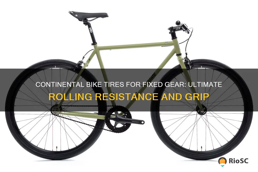 Continental Bike Tires For Fixed Gear: Ultimate Rolling Resistance And ...