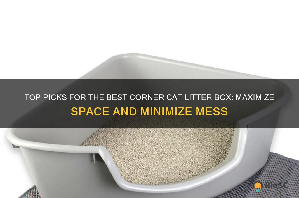 Top Picks For The Best Corner Cat Litter Box: Maximize Space And ...