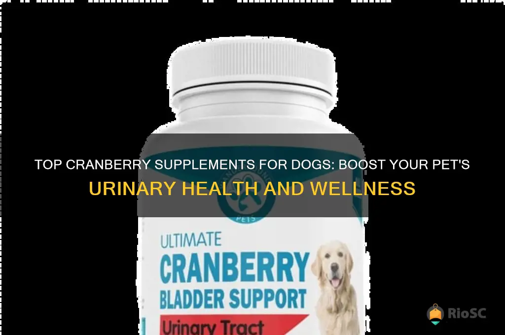 Top Cranberry Supplements For Dogs: Boost Your Pet's Urinary Health And ...