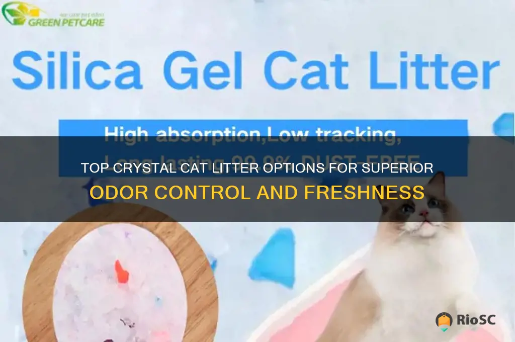 Top Crystal Cat Litter Options For Superior Odor Control And Freshness ...