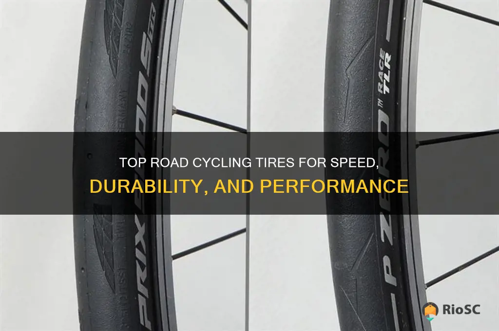 Top Road Cycling Tires For Speed, Durability, And Performance | Riosc