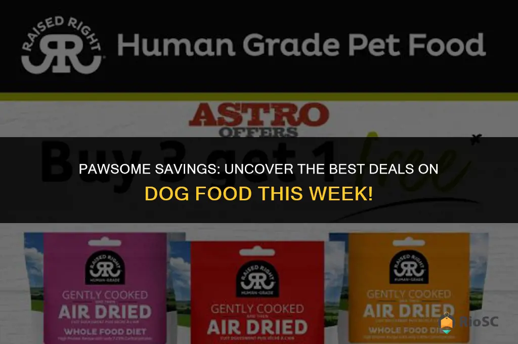 Pawsome Savings: Uncover The Best Deals On Dog Food This Week! | Riosc