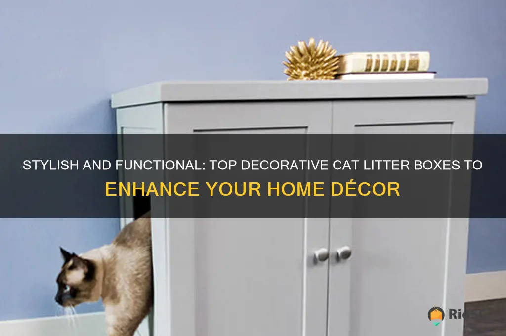 Stylish And Functional: Top Decorative Cat Litter Boxes To Enhance Your ...