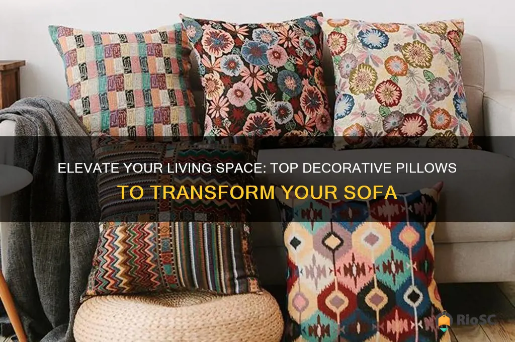 Elevate Your Living Space: Top Decorative Pillows To Transform Your ...