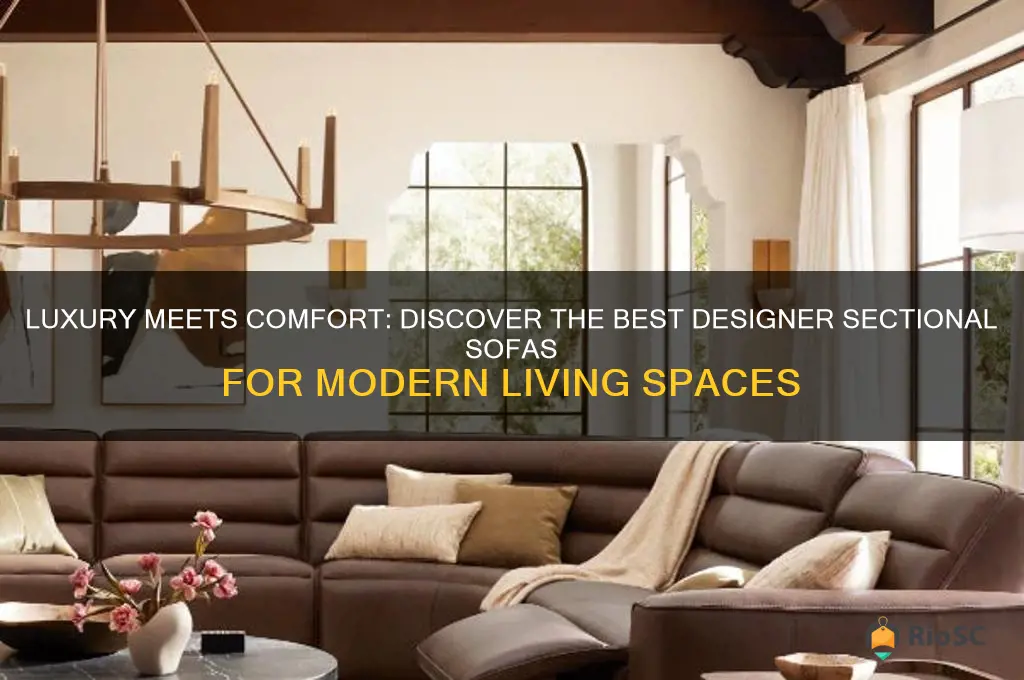 Luxury Meets Comfort: Discover The Best Designer Sectional Sofas For ...