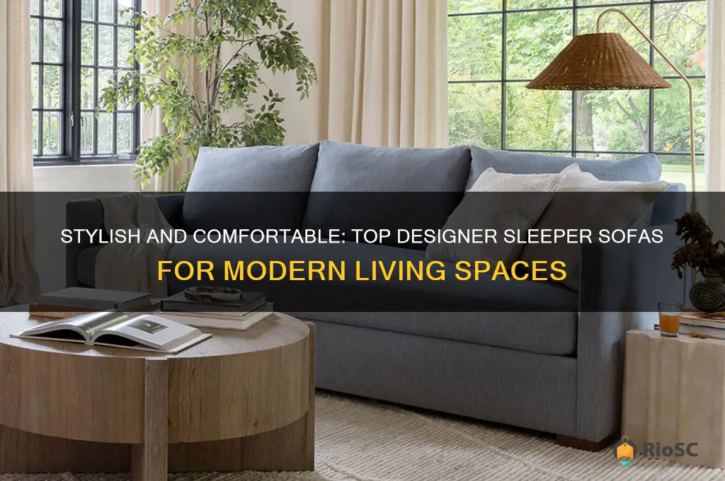 Stylish And Comfortable: Top Designer Sleeper Sofas For Modern Living ...