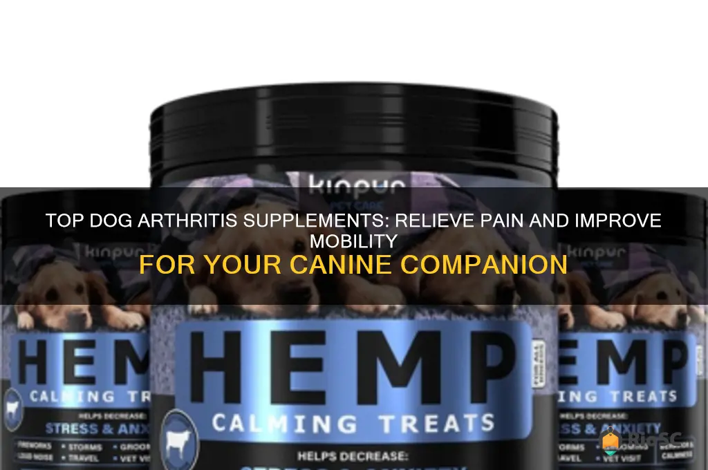 Top Dog Arthritis Supplements: Relieve Pain And Improve Mobility For ...
