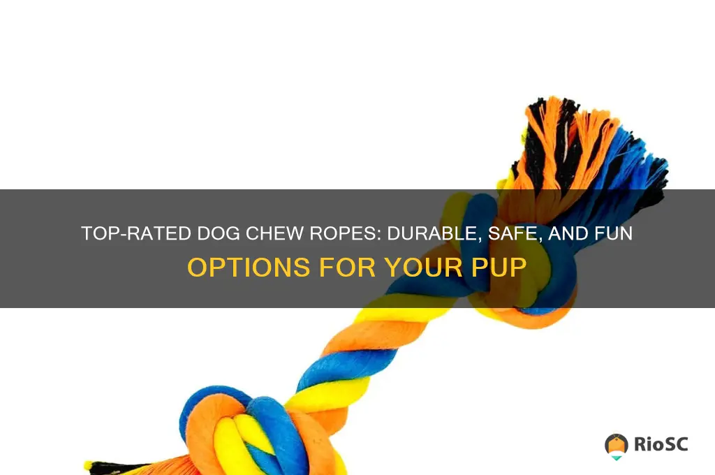 Top-Rated Dog Chew Ropes: Durable, Safe, And Fun Options For Your Pup ...