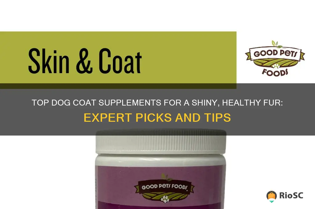 Top Dog Coat Supplements For A Shiny, Healthy Fur: Expert Picks And ...