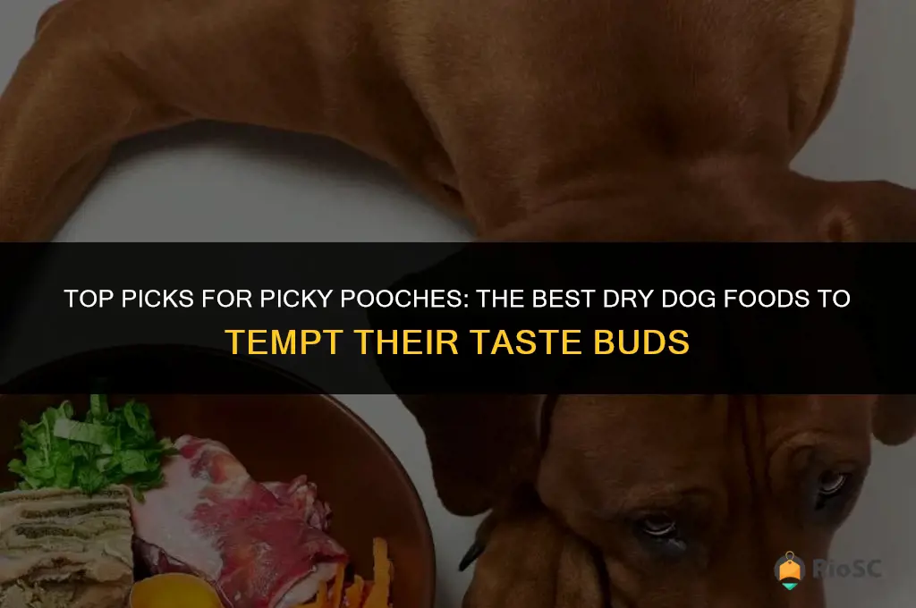 Top Picks For Picky Pooches: The Best Dry Dog Foods To Tempt Their ...