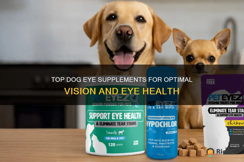Top Dog Eye Supplements For Optimal Vision And Eye Health | Riosc