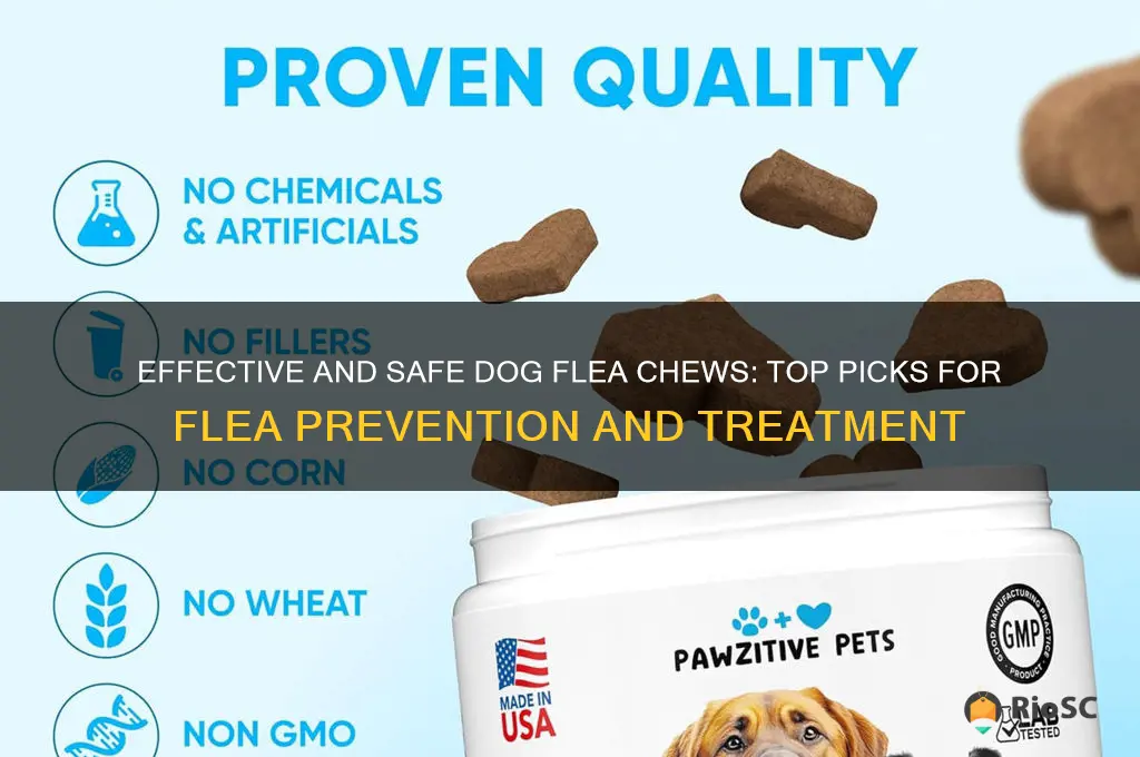 Effective And Safe Dog Flea Chews: Top Picks For Flea Prevention And ...