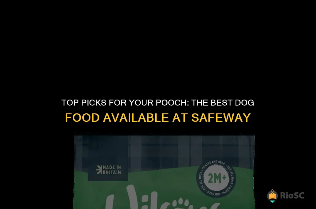 Top Picks For Your Pooch: The Best Dog Food Available At Safeway | Riosc