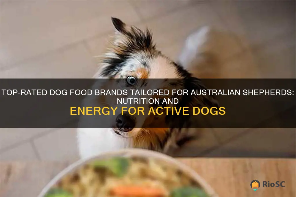 Top-Rated Dog Food Brands Tailored For Australian Shepherds: Nutrition ...