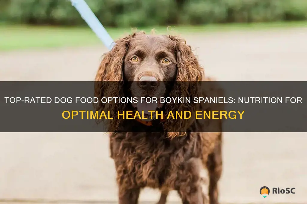 Top-Rated Dog Food Options For Boykin Spaniels: Nutrition For Optimal ...