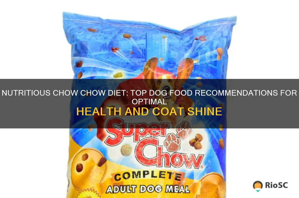 Nutritious Chow Chow Diet: Top Dog Food Recommendations For Optimal ...