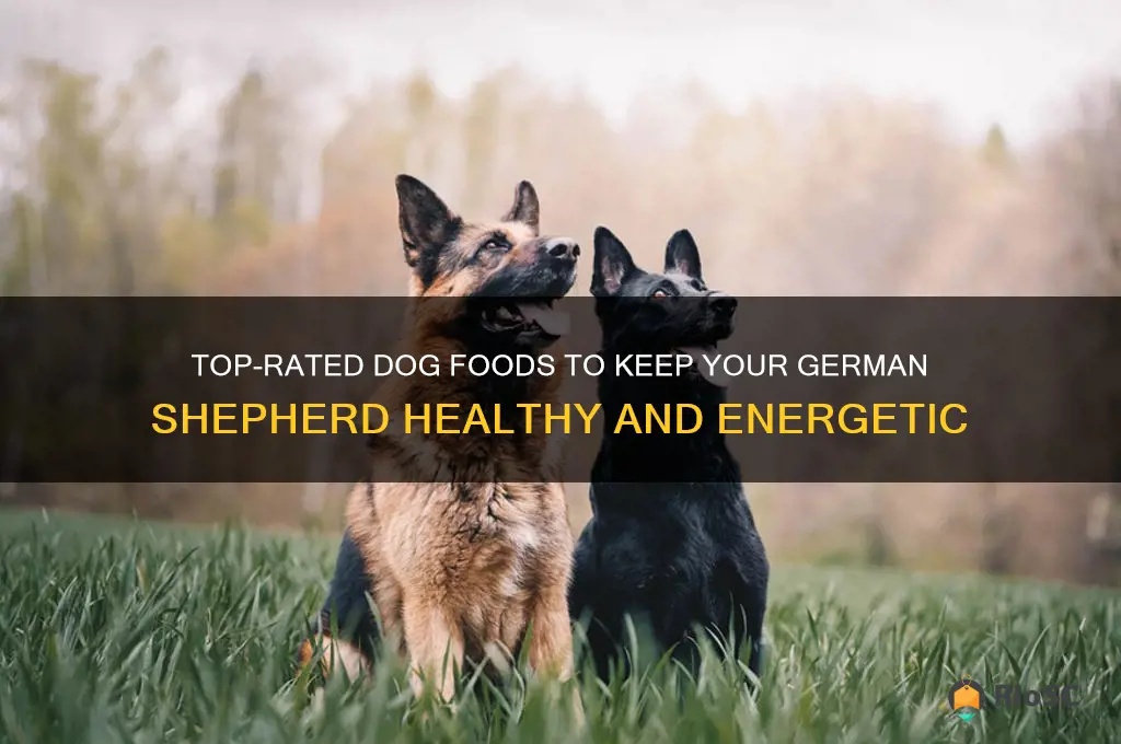 Top-Rated Dog Foods To Keep Your German Shepherd Healthy And Energetic ...
