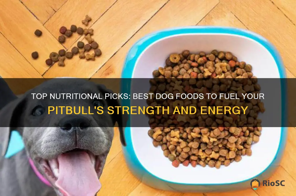 Top Nutritional Picks: Best Dog Foods To Fuel Your Pitbull's Strength ...