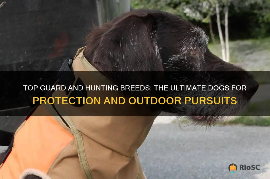 Top Guard And Hunting Breeds: The Ultimate Dogs For Protection And ...